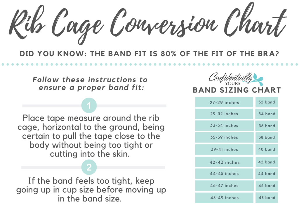 Rib Cage Conversion Chart - Confidentially Yours