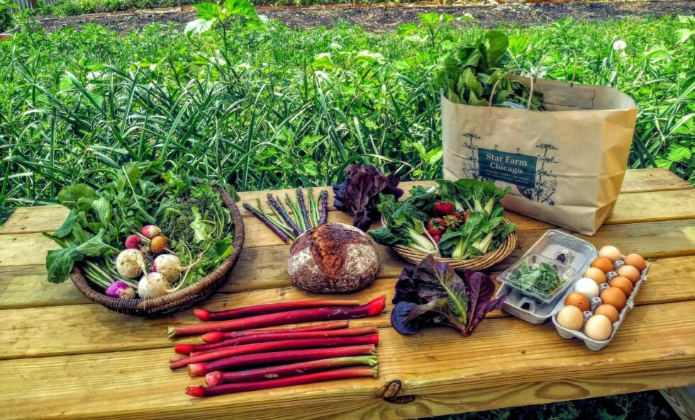 Discover Amazing Farm Finds in 2024 with Community Supported ...