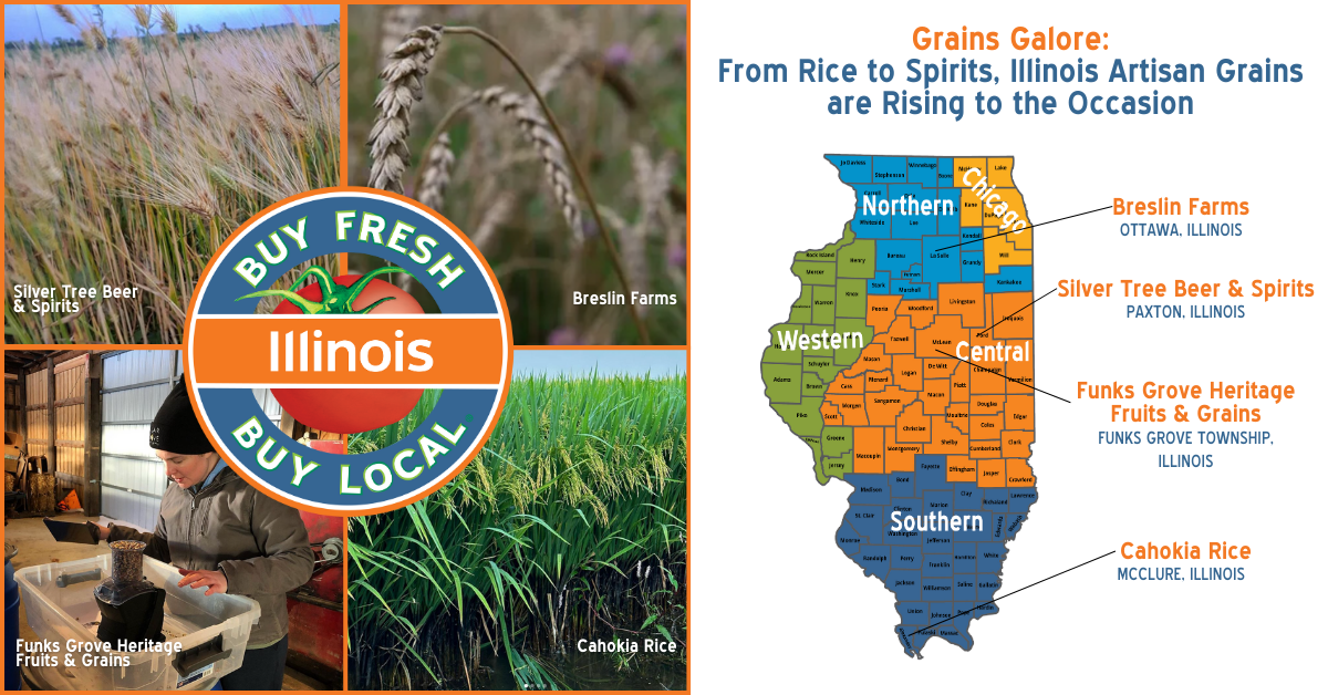 Grains Galore: From Rice to Spirits, Illinois Artisan Grains are Rising ...