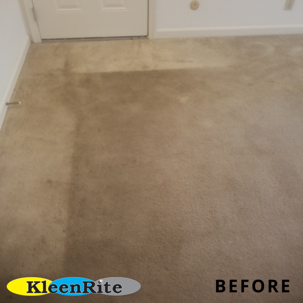 Carpet Cleaning | Central Illinois | KleenRite