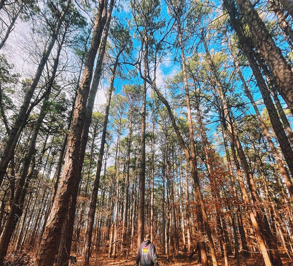 The Property - Stone Face Manor bed and breakfast