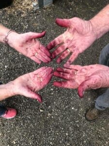 Rural Routes: Fellowship Farms - The Land Connection