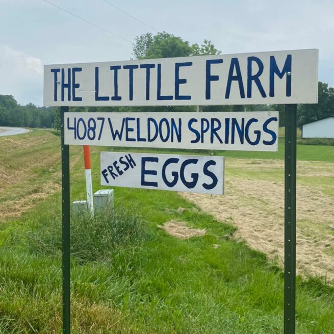 Rural Routes | Little Farm at Weldon Springs - The Land Connection