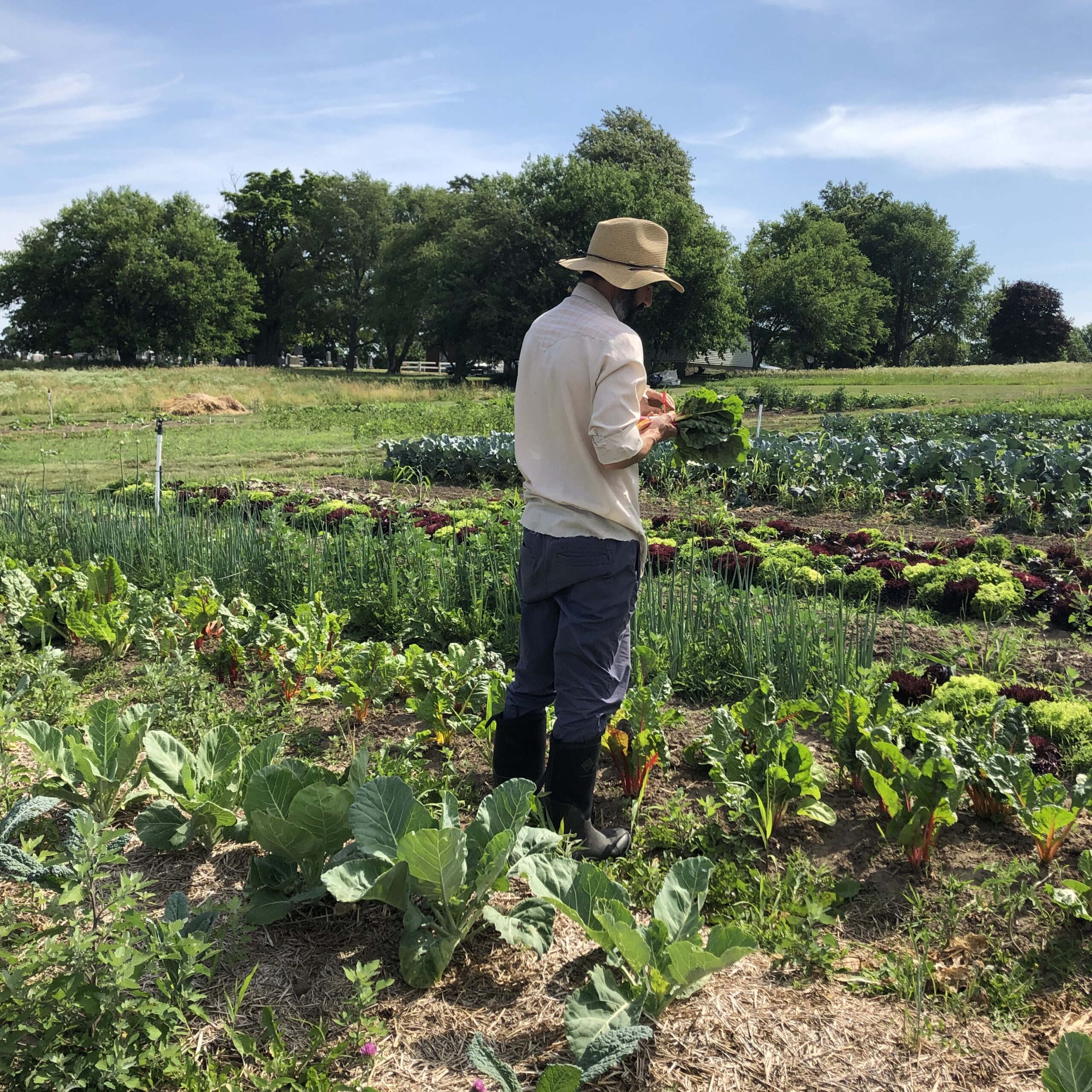 On-Farm Food Safety - The Land Connection