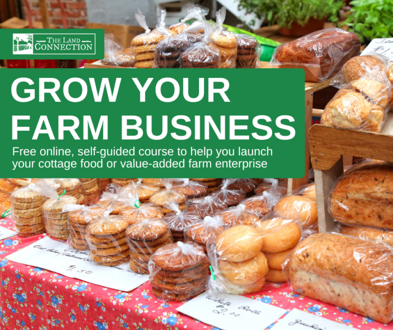 Grow Your Farm Business The Land Connection grow-your-farm-business-the-land-connection