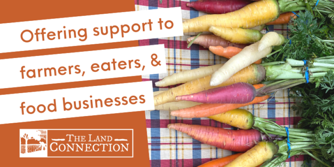 What We Do - The Land Connection