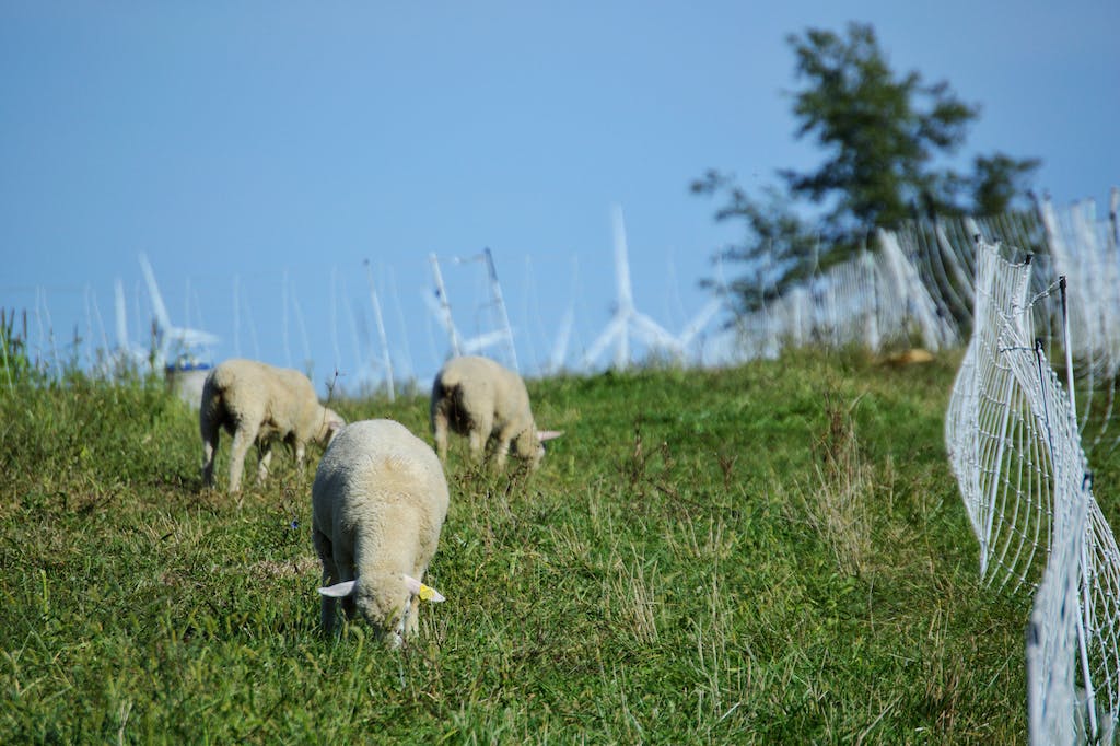 Midwest Grazing Exchange - The Land Connection