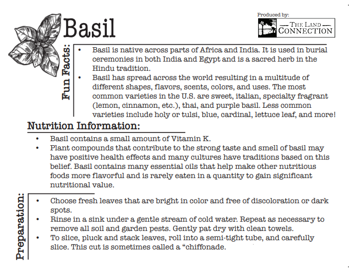 Basil - The Land Connection