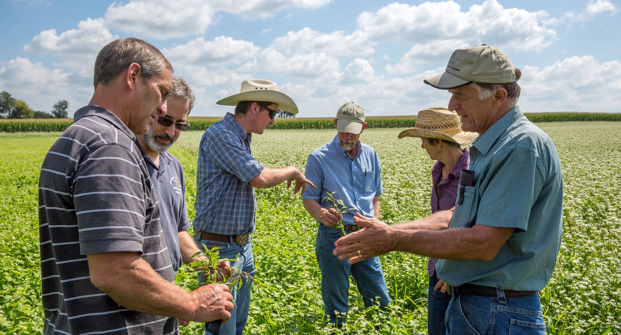 IDEA Farm Network - The Land Connection