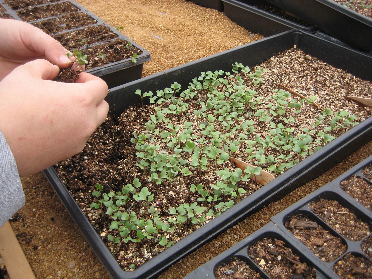 IDEA Farm Network - The Land Connection