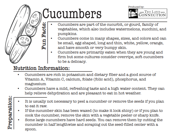 Cucumber - The Land Connection