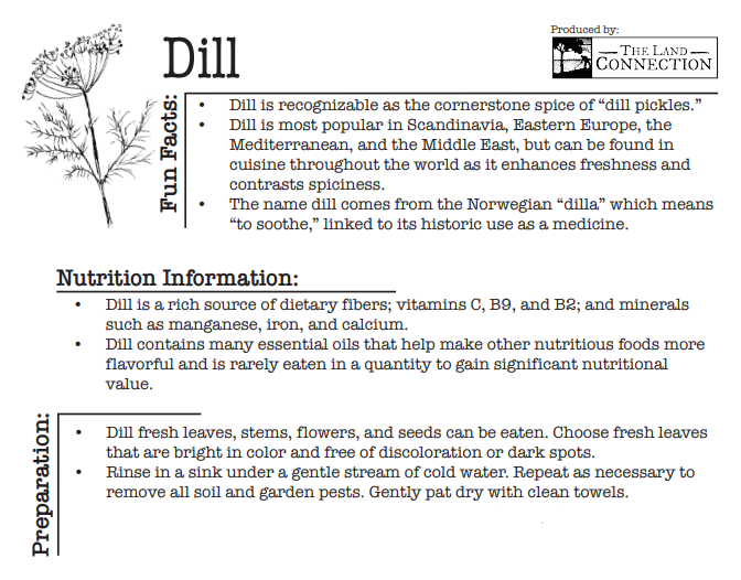 Dill - The Land Connection