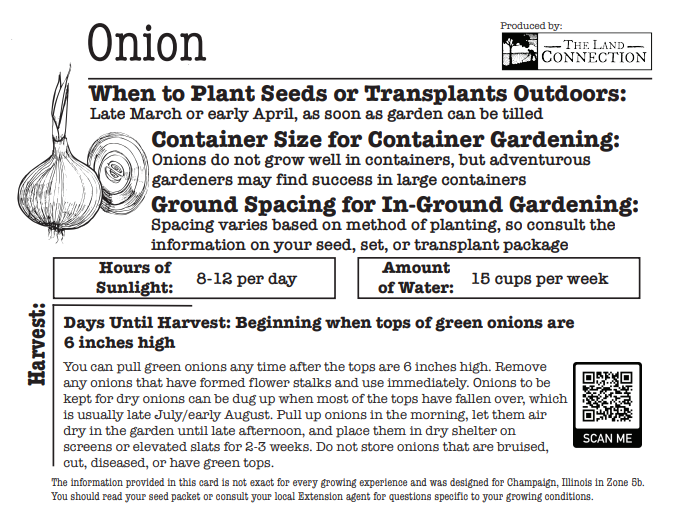 Onions - The Land Connection