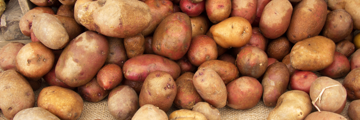 Potatoes - The Land Connection
