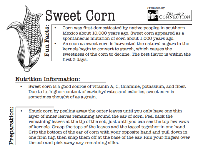 Sweet Corn - The Land Connection